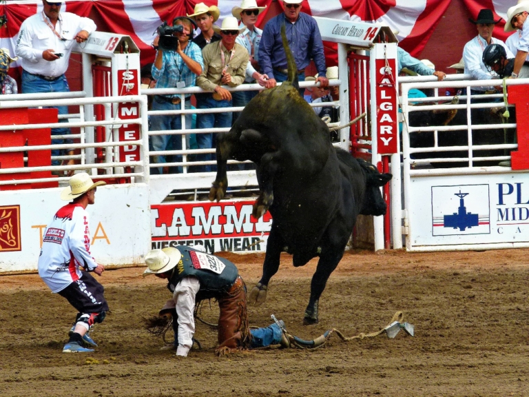The History of Bull Riding | Grizzly Rose Country Bar & Venue